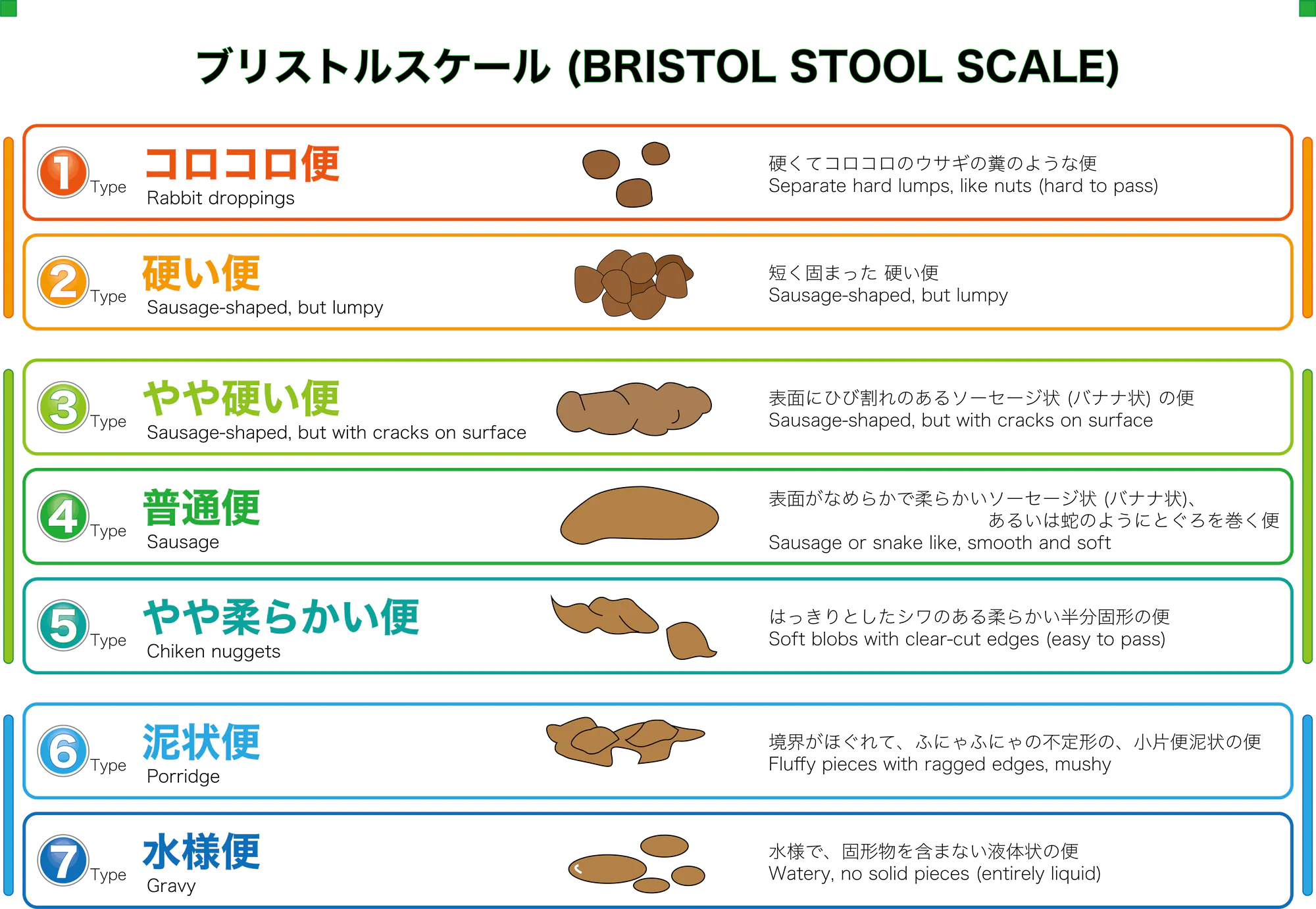 便(うんち)の色|便の色・回数・量で体調確認|大阪なんば内科・消化器内視鏡クリニック